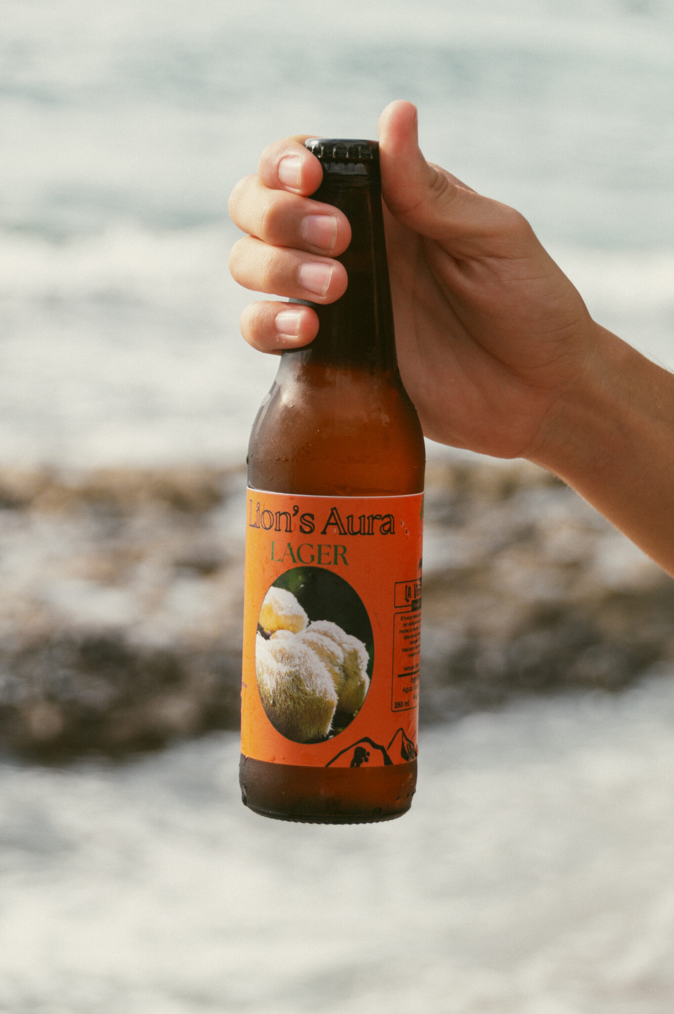 Cerveza Melena De Leon – EcaMushrooms